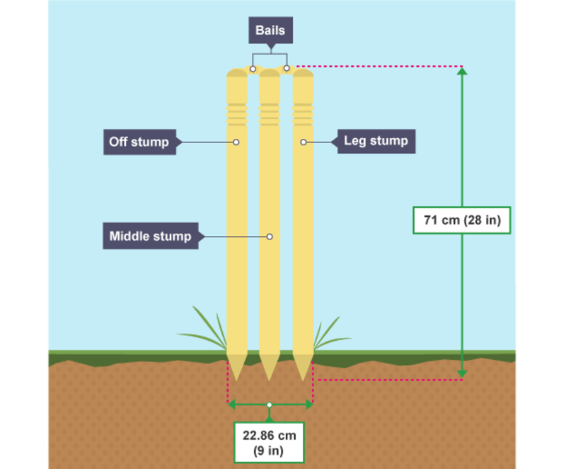 Cricket for Beginners: A Comprehensive Guide to Cricket Rules and Laws - SportMember.co.uk